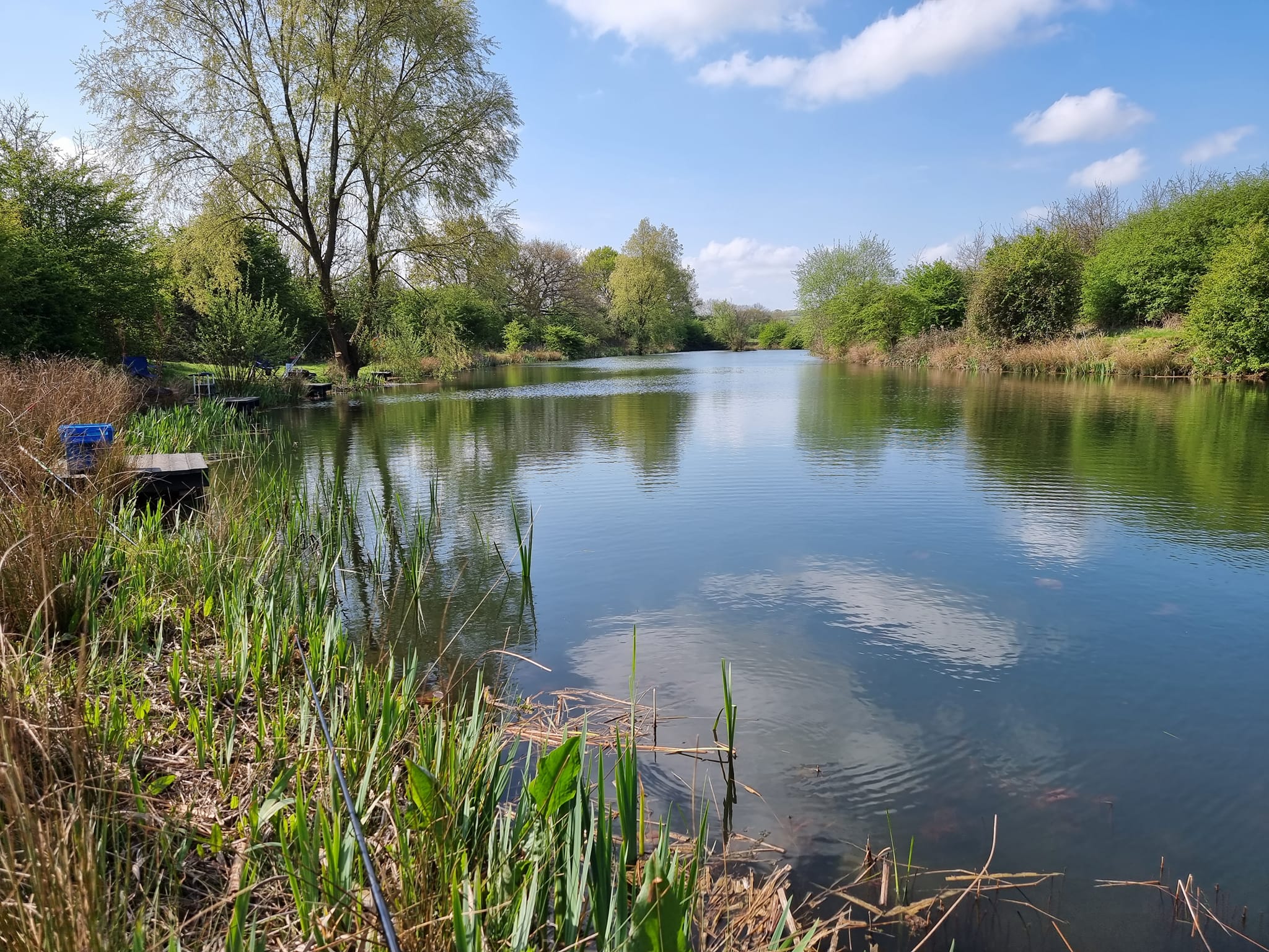 Club Waters – Northampton Nene Angling Club